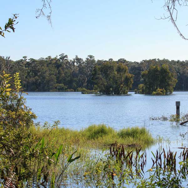 Lake-Raleigh-NTB-tile.jpg | WaterMatters.org