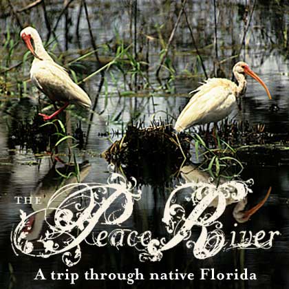 Watersheds | WaterMatters.org