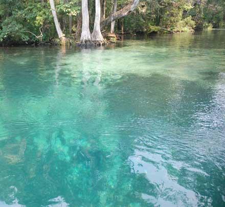 Chassahowitzka-after-dredging | WaterMatters.org