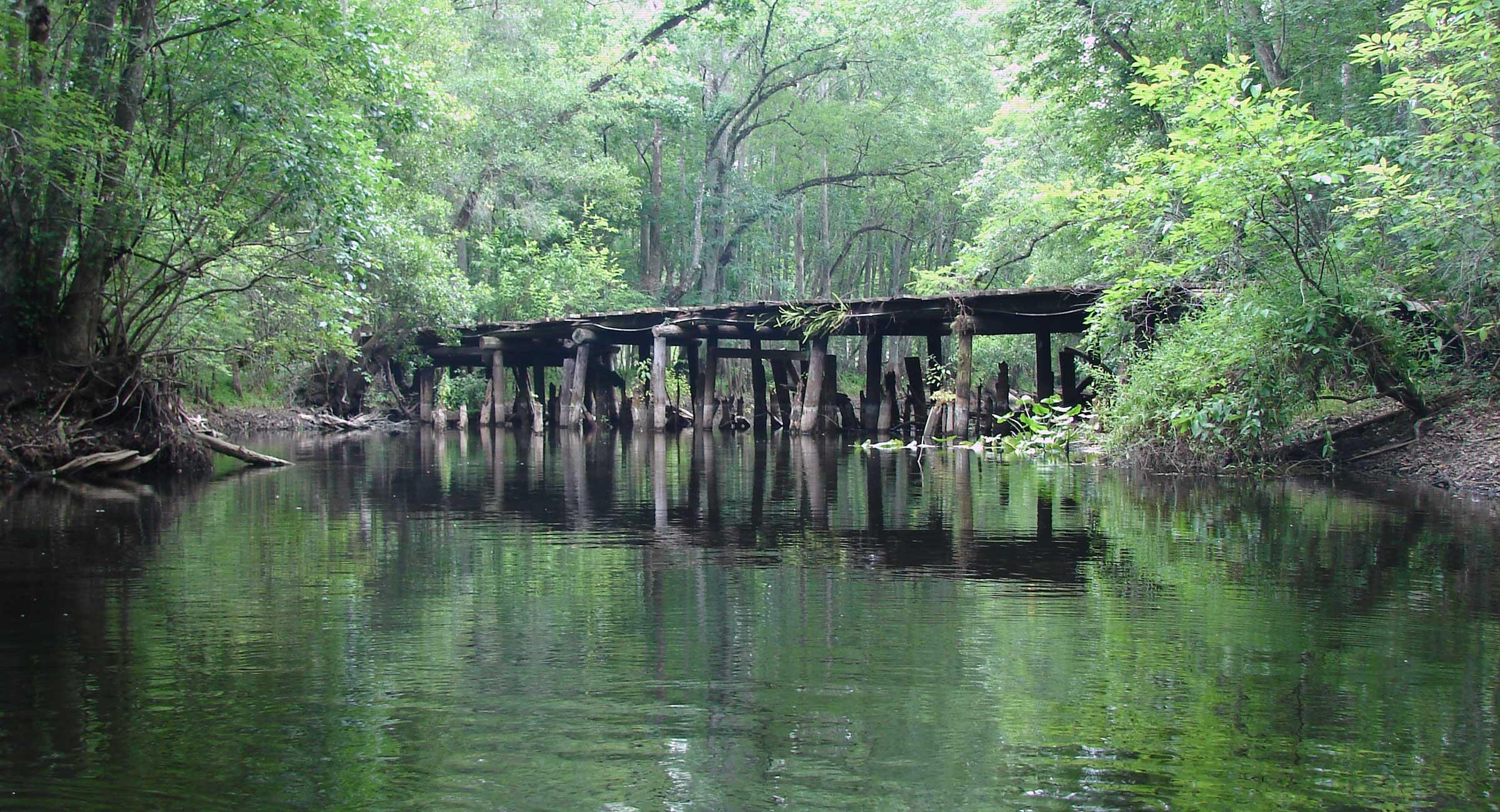 Welcome to the Withlacoochee River Watershed Excursion | WaterMatters.org Welcome to the Withlacoochee River Watershed Excursion | WaterMatters.org