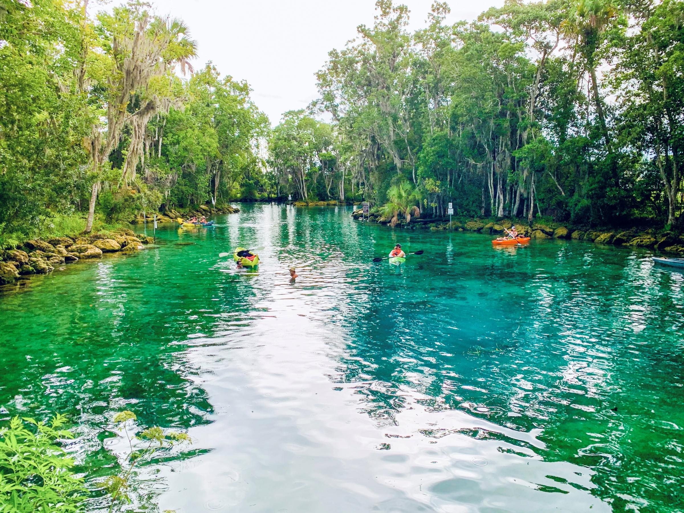 Three Sisters Springs Canal Stabilization Project | WaterMatters.org
