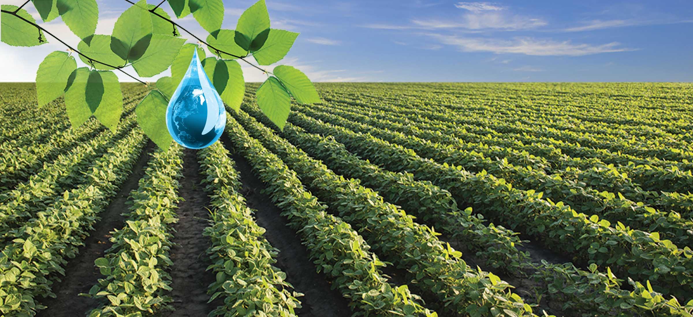 Water Use Permit Information Center | WaterMatters.org