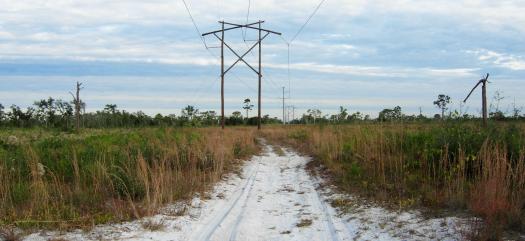Prairie/Shell Creek | WaterMatters.org