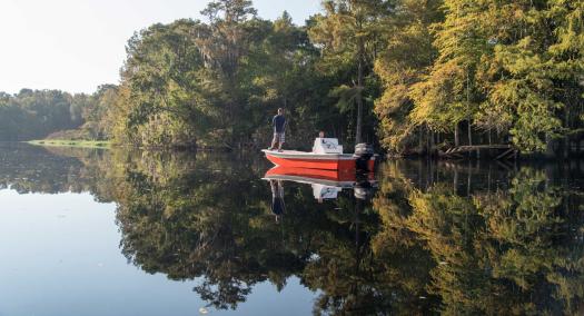 Recreation on the Withlacoochee River | WaterMatters.org