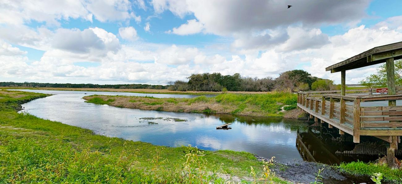 Myakka State Forest | WaterMatters.org