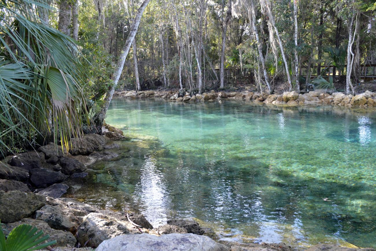 Governing Board Proclaims April Springs Protection Awareness Month ...