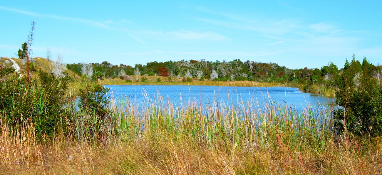 Weekiwachee Preserve Aripeka Sandhills Preserve | WaterMatters.org