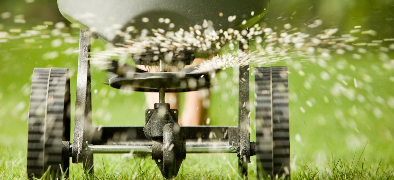 Fertilizing 101: Protect Florida’s Water and Grow a Healthy Lawn ...