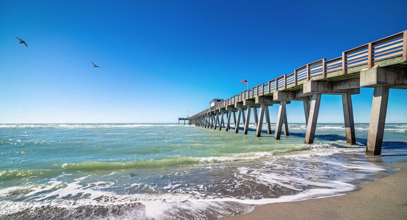 Venice Area | WaterMatters.org