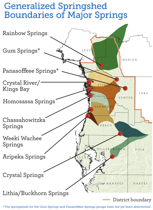 Learn About West-Central Florida’s Springs | WaterMatters.org