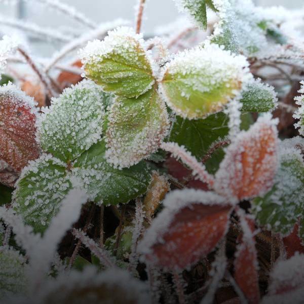 ePermitting | WaterMatters.org